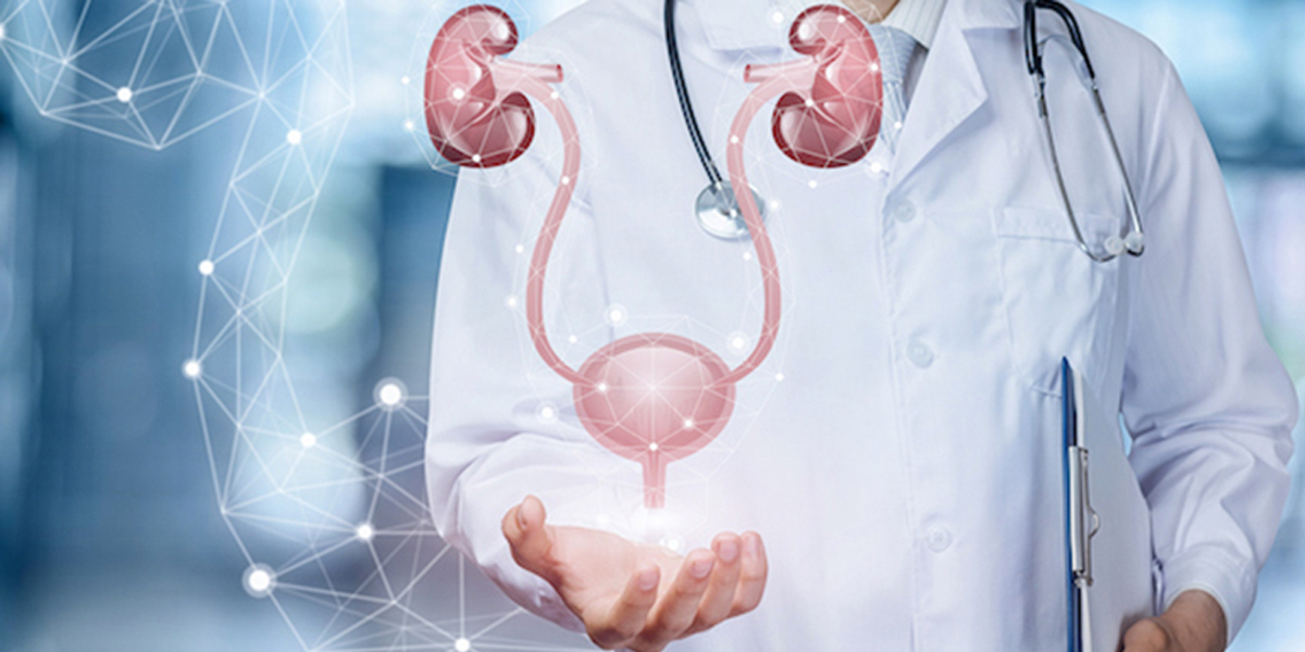 The Vital Importance of Urological Health: Why It Matters More Than You Think – UroCare Chennai